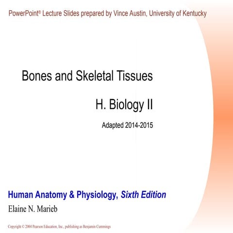 Bone Formation and Development_14.ppt bone bone bone | PPT