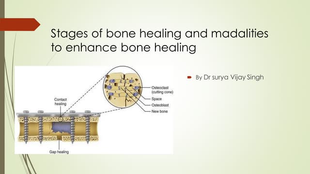 Healing of bone fracture- general pathology | PDF
