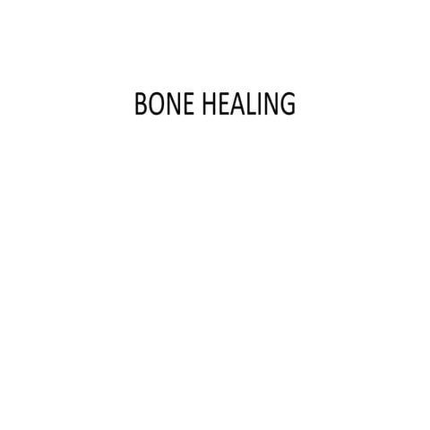Bone healing | PPTX