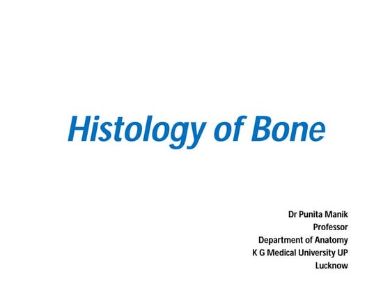 Bone - Prac. Histology | PPTX