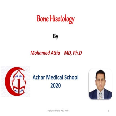 Basics of the bone histology | PPT