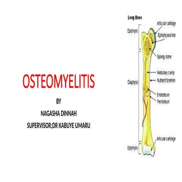 Osteomyelitis | PPTX