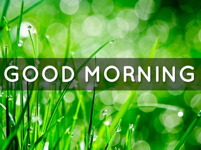 Bone loss and patterns of bone destruction | PPTX