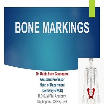 BONE MARKINGS Part 3 by Dr. Rabia Inam Gandapore.pptx