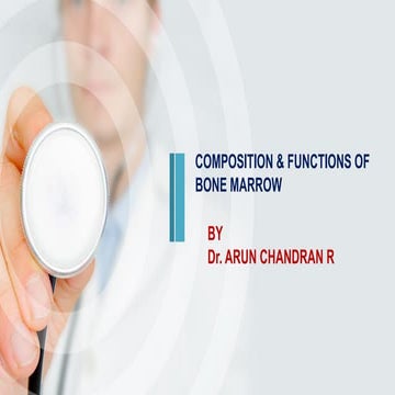 BONE MARROW anatomy and physiology .pptx