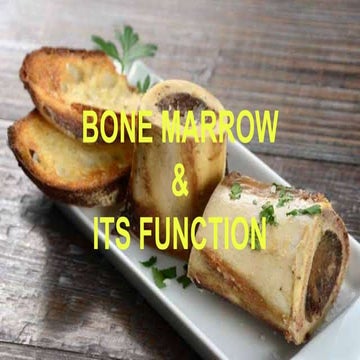 Bone marrow and function.pptx
