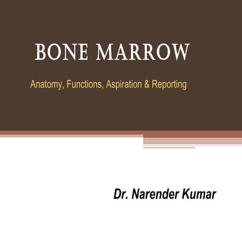 Bone marrow class | PPT