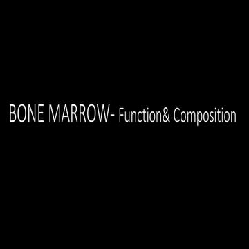 Exploring Bone Marrow: Composition, Functions, and Clinical Insights | PPTX