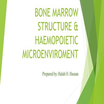 Bone marrow structure & haemopoietic microenviroment | PPTX