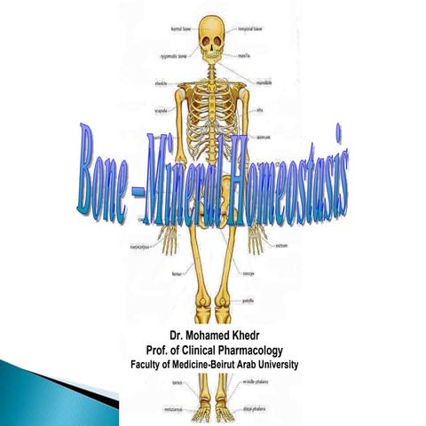 Bone mineral homeostasis | PPT
