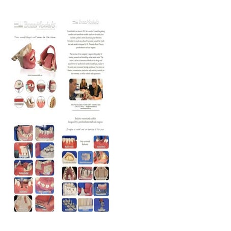 BoneModels Leaflet 2017 | PDF