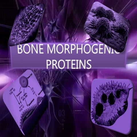 role of bone morphogenic proteins in periodontology.pptx