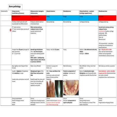 Bone pathology summary for undergraduate | PDF