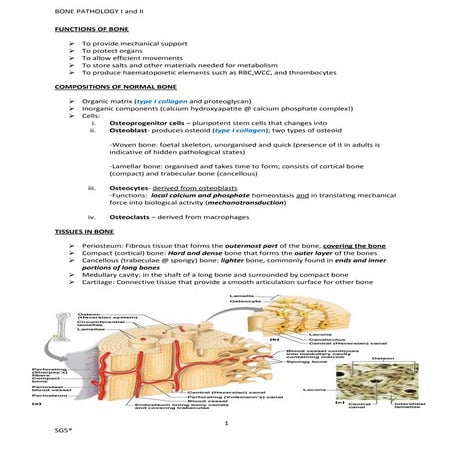 Bone pathology i and ii | PDF
