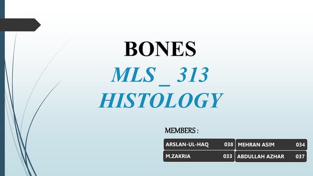 Histology Of Bone Pptx
