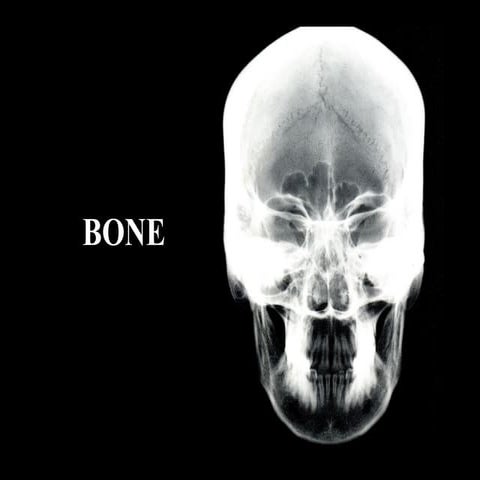 Bones | PPT