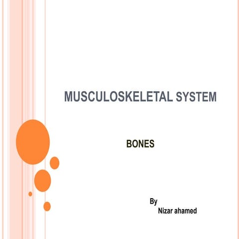 Bones(musculoskeletal system) | PPT
