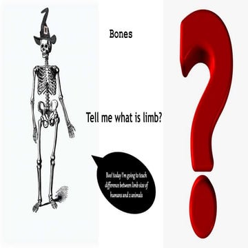 Bones | PPT