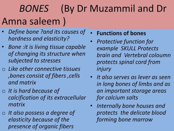 Human Skeleton System an Introduction of bones | PPT
