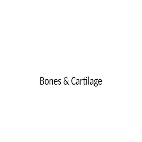 Anatomy of Bones_and_Cartilage_MBBS.pptx