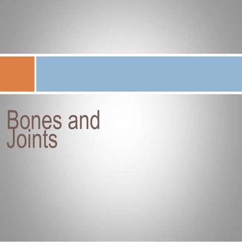 Bones and Joints anatomy BSN 1st year.pptx