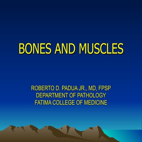 Bones And Muscles | PPT