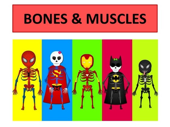 Bones and muscles | PPT