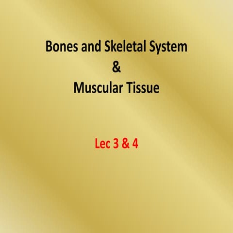 Bones and Skeletal System, Lec3 & 4.ppt