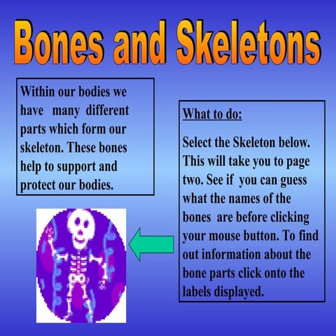 Interactive Powerpoint: Skeletal System | PPT