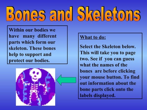 SCIENCE 4.BONES AND MUSCLES.pptx