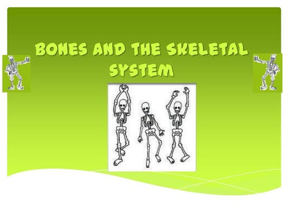 SCIENCE 4.BONES AND MUSCLES.pptx