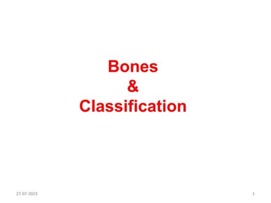 Atlas(C1) & Axis(C2) Vertebrae.pptx | Death, Injury, or Military Conflict | Sensitive Topics