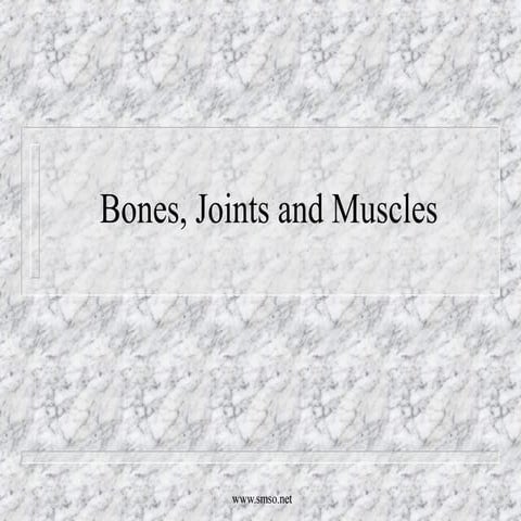 Bones, joints, muscles | PPT