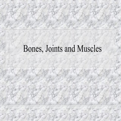 Bones, joints, muscles | PPT