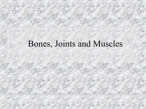 The Musculoskeletal System | PPT