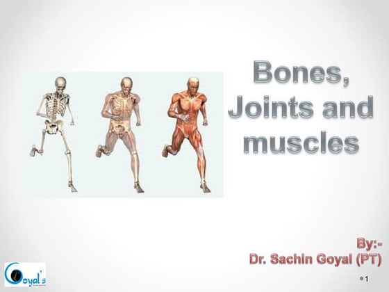 Muscle Types: Skeletal, Smooth, and Cardiac | PPTX | Heart and ...