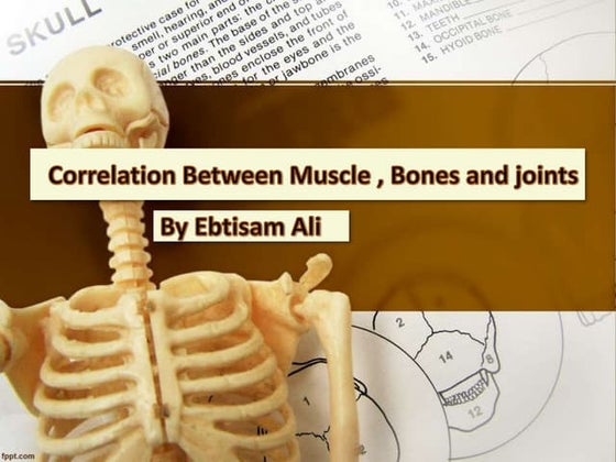 Joints of the skeleton.pptx