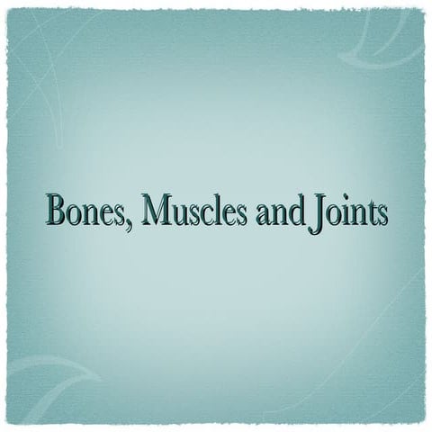Bones, Muscles And Joints | PPT