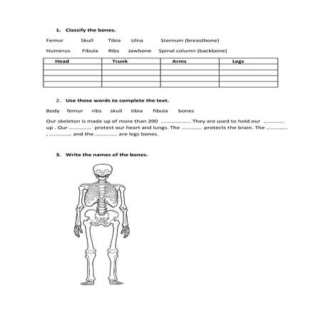 THE SKELETAL SYSTEM ACTIVITY | DOCX