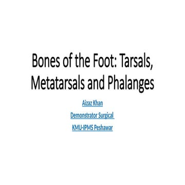 Comparitive Anatomy of Metatarsal bones in different animals.pptx
