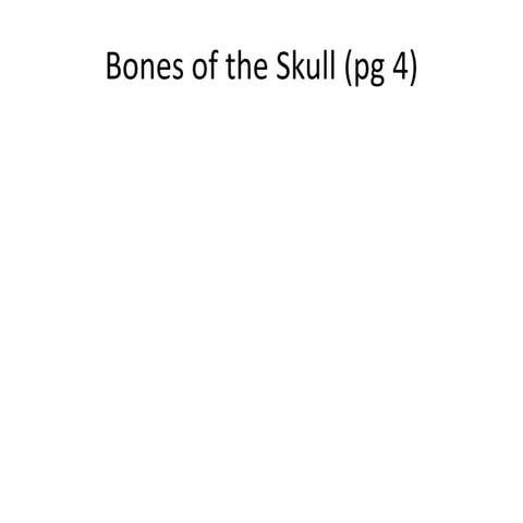 Bones of the skull | PPTX
