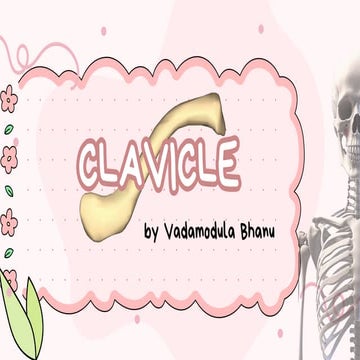 Clavicle bone Anatomy | PPTX