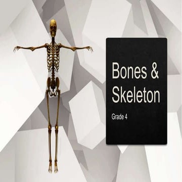 Bones & Skeleton1.pptx