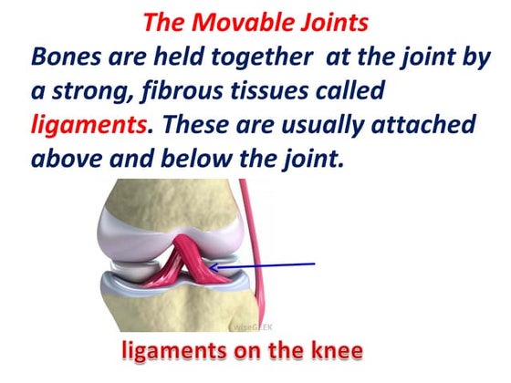 Mga Instrumentong Rondalya | PPT