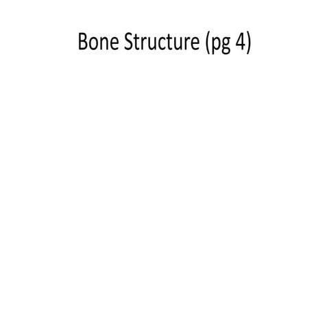 Bone structure | PPTX