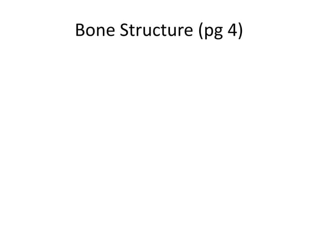 General anatomy of bone mbbs | PPTX