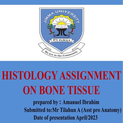 Bone tissue ppt.pptx | Bone and Joint Conditions | Diseases and Conditions