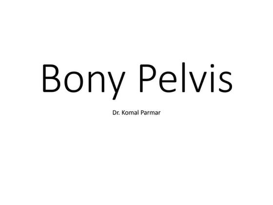 Pelvimetry Ppt