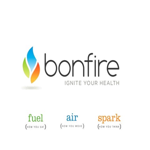 The Bonfire Program | PPT