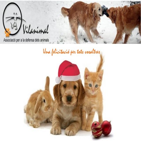 Bon nadal vilanimal 2013 | PPT